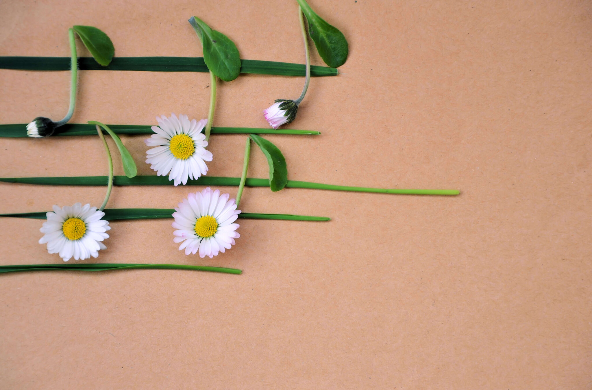 10 Simple Stress Relief Tricks You Can Do At The Break Room