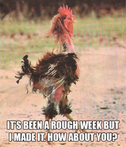 8 Inspirational Quotes To Pull You Up After A Rough Week