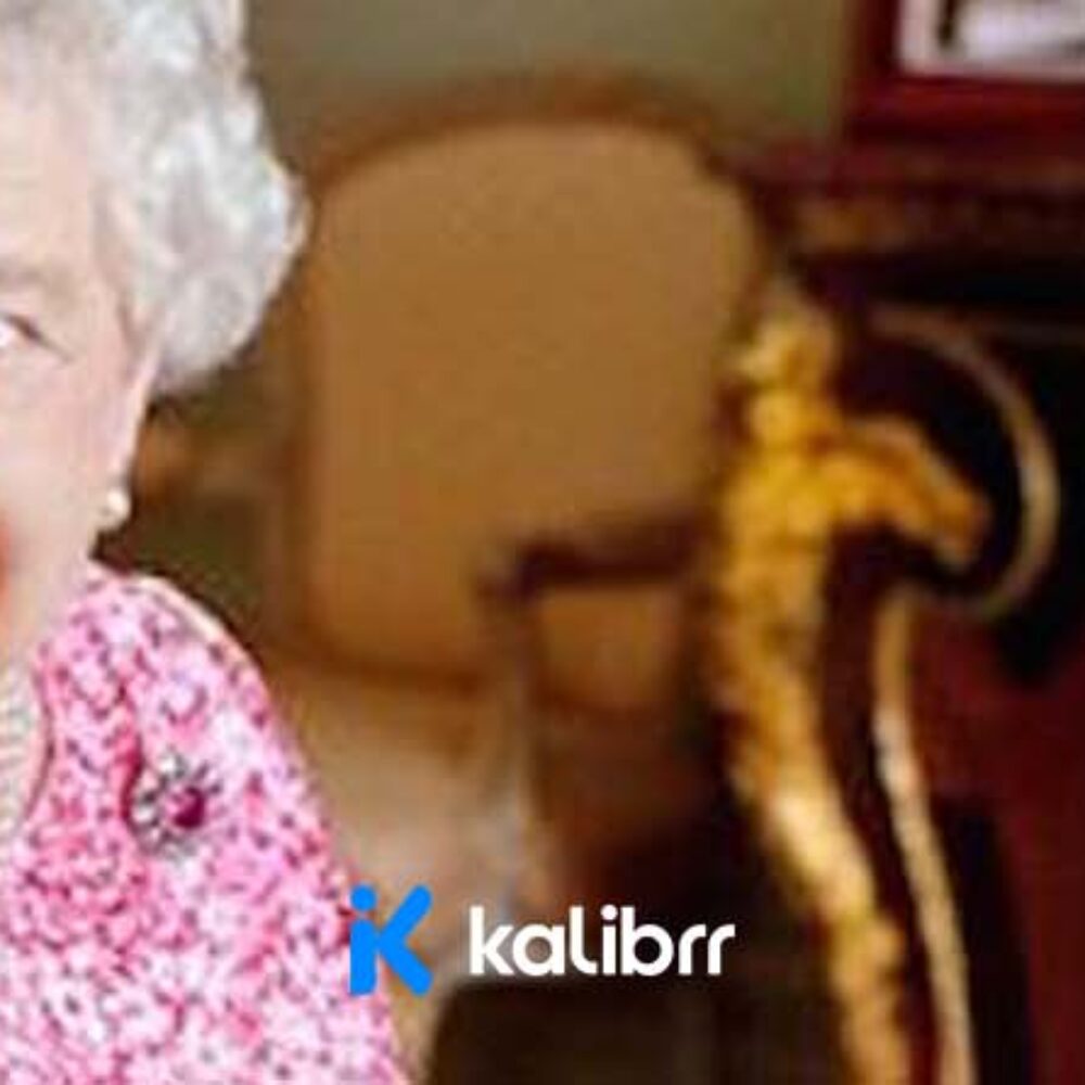 Job Opening: Social Media Manager for the Queen of England